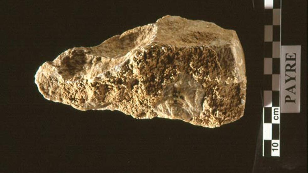 La pratique de la pêche et de la chasse date d’au moins 250 000 ans