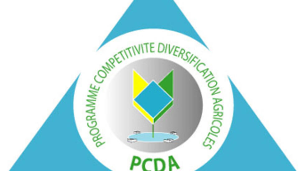 Le Programme Compétitivité Diversification Agricoles de Sévaré au Mali ...