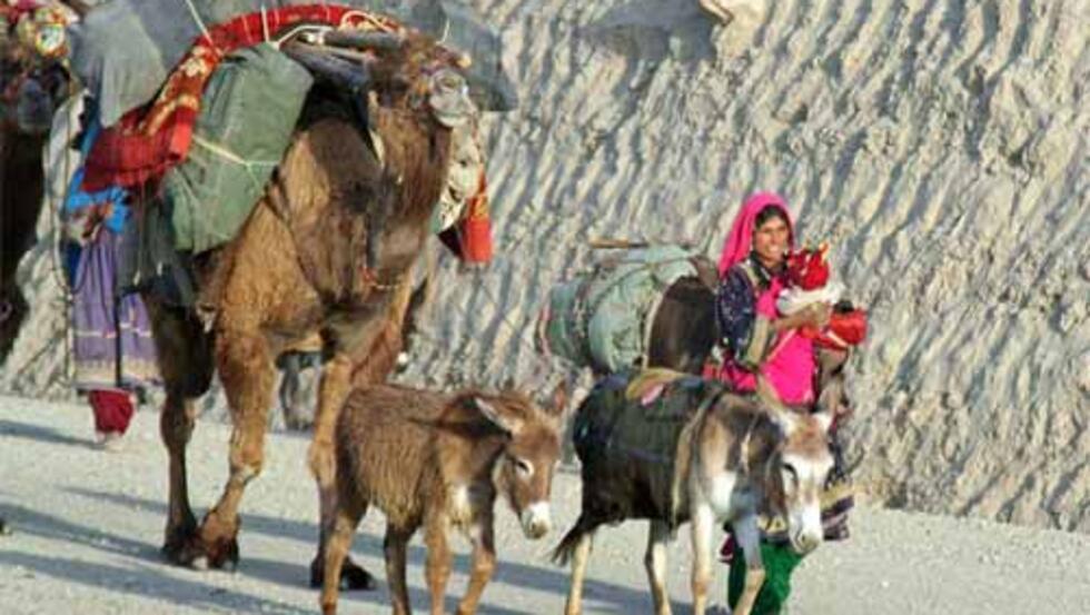 Kuchi nomads riot in Kabul after land dispute deaths