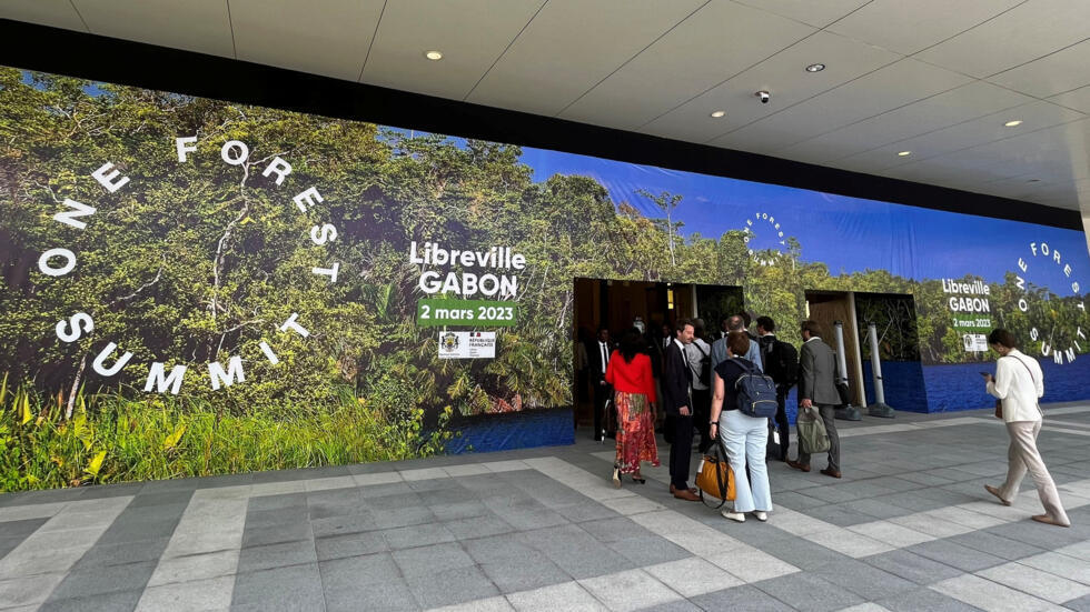 Au Gabon, le One Forest Summit accouche d'un fonds de 100 millions d'euros