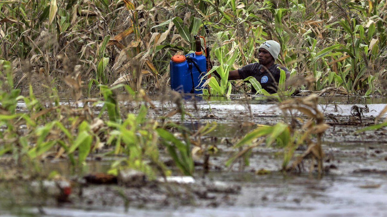 Moçambique: Balanço das chuvas em Maputo sobe para dez mortes