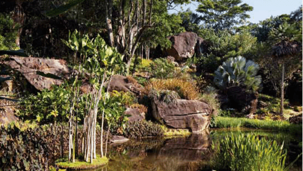 Paisagista brasileiro ganha mostra em Paris