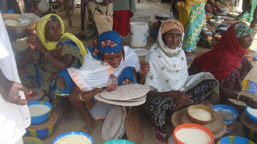 Matan Fulani masu tallar Nono - Mata Mazari