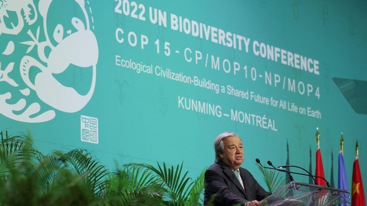 Crucial summit to halt destruction of world's biodiversity opens in Canada