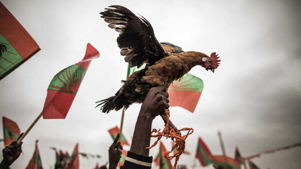 UNITA pede reconhecimento de Jonas Savimbi e Holden Roberto nos 50 anos da independência de ...