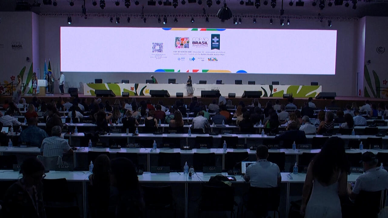 (ВІДЕО) COP30 у Бразилії: Україна представила «‎Зелену академію» — масштабний освітній проєкт - RFI