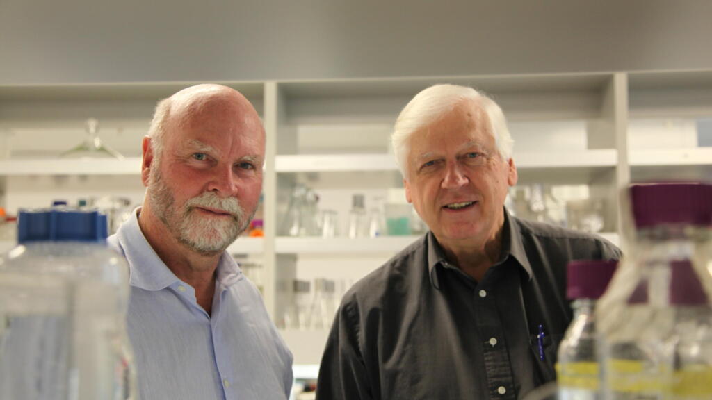 Researchers produce first synthetic cell