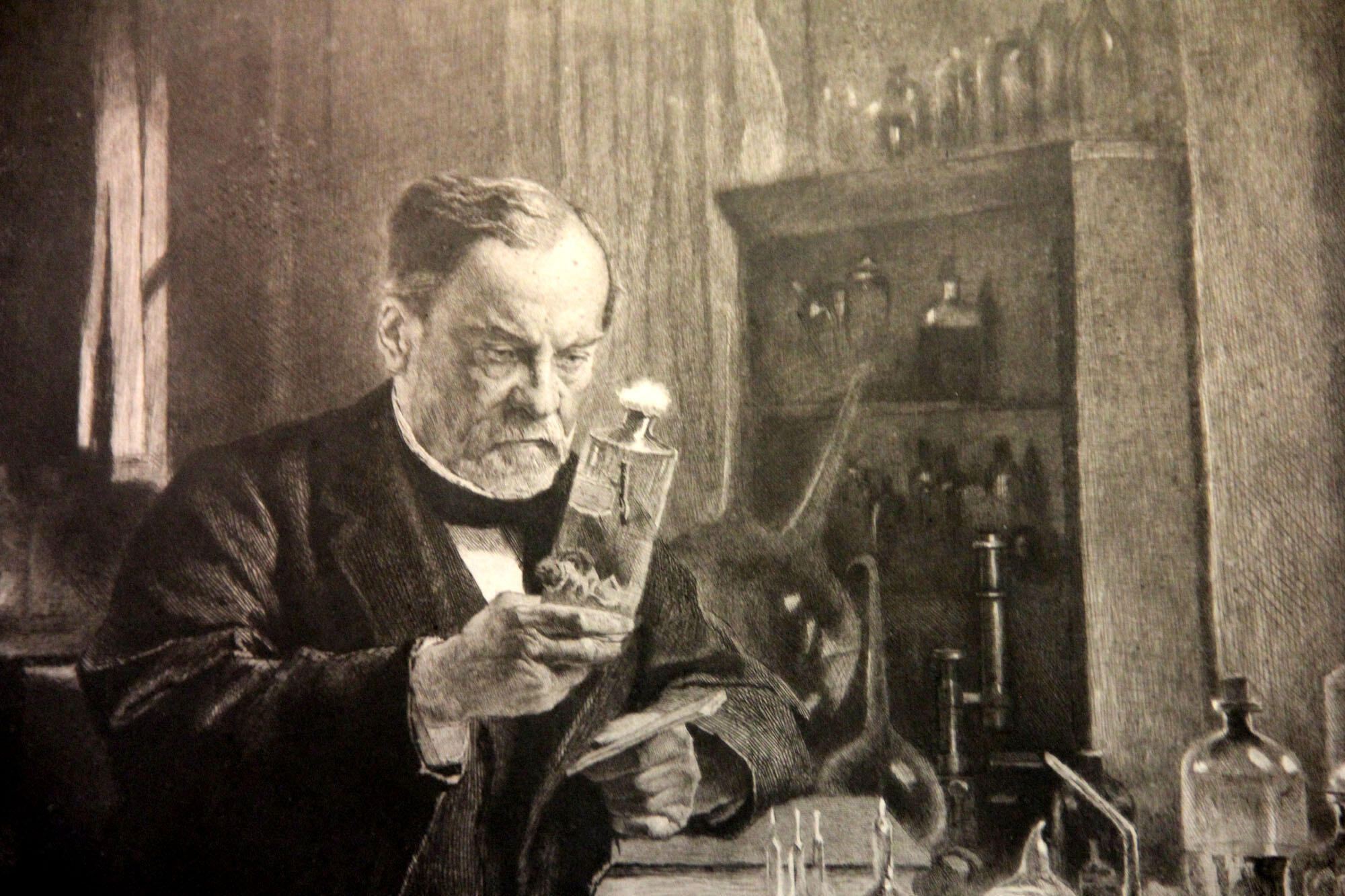 Louis Pasteur: un grand savant du passé, un père de la science moderne