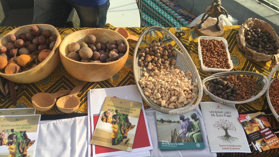 Senegal's Convivium farmers to revive pre-colonial crops ...