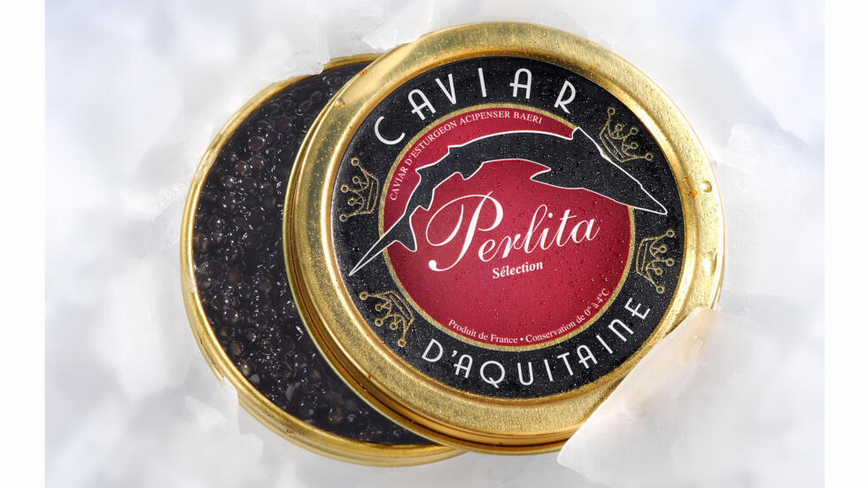 Le caviar français sur la troisième marche du podium - Grand reportage