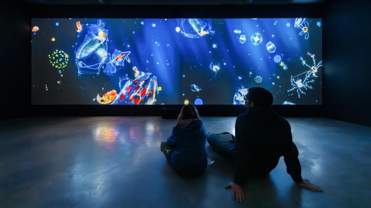 «Tara», l'art et la science pour décrypter l'océan - C'est pas du vent