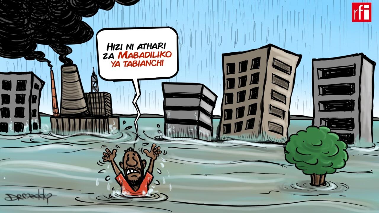 RFI Katuni za Meddy 2024