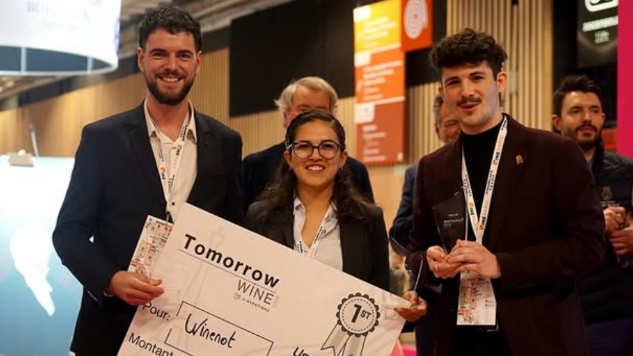 WineNot: una aplicación para desmitificar el complejo mundo del vino ...