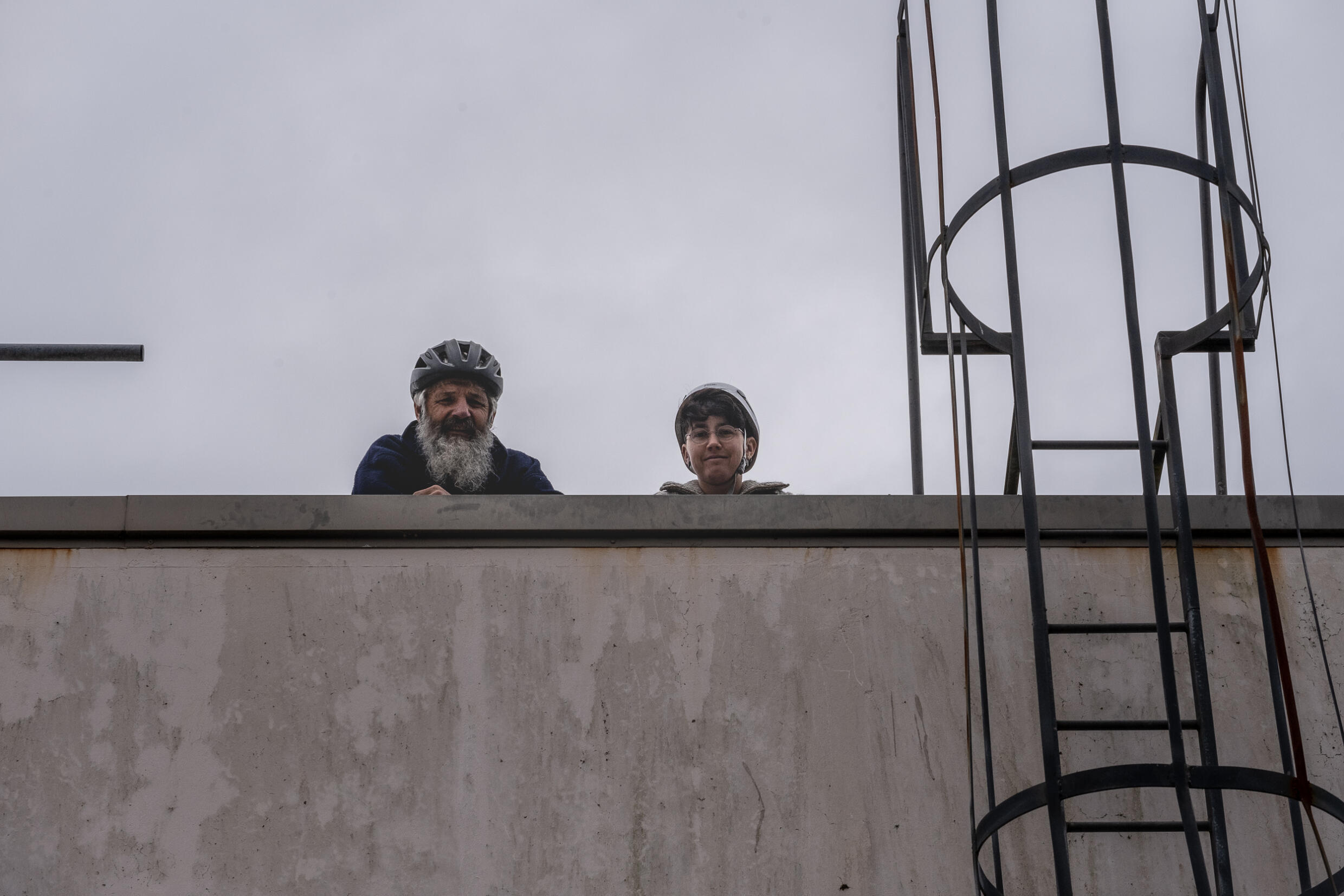 Le goéland argenté: un néo-urbain libre et fidèle