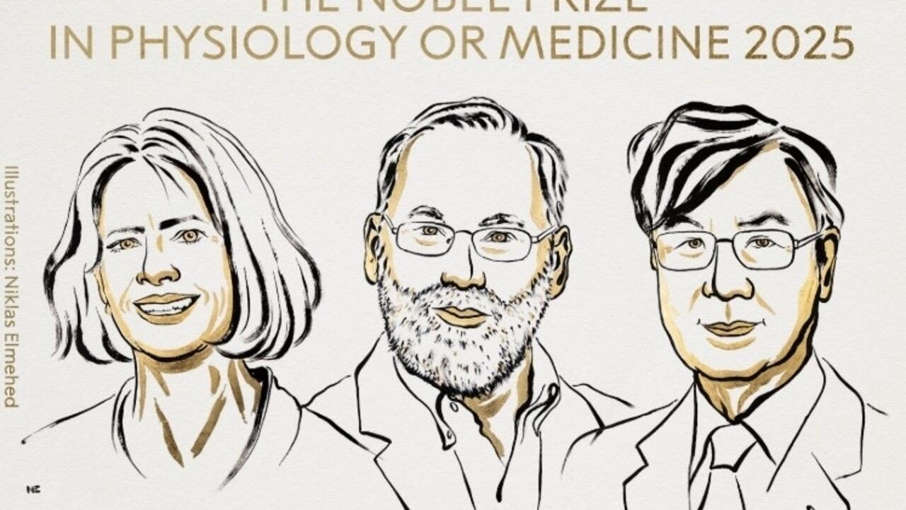 Nobel de Medicina para los estadounidenses Mary E. Brunkow, Fred Ramsdell y al japonés Shimon ...