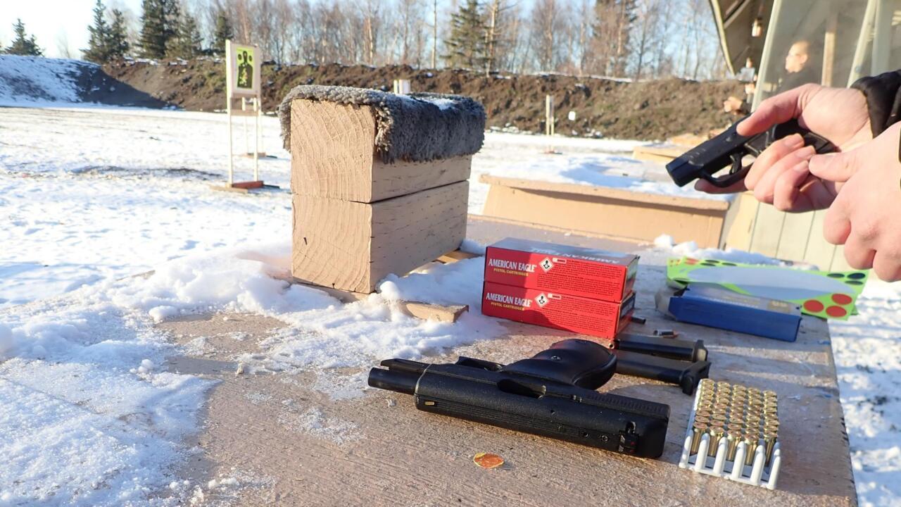 Left-leaning gun owners look for alternatives in the US - International ...