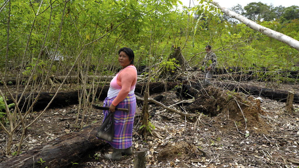 Guyane: comment réinventer l'agriculture à Maripasoula? - C'est pas du vent