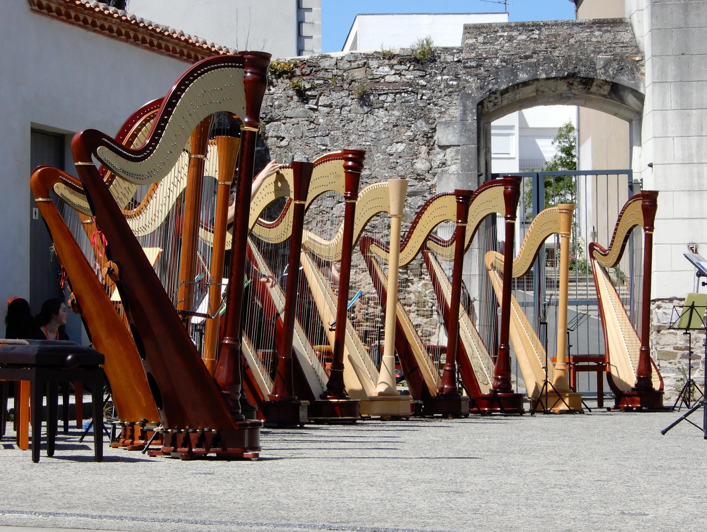 Hạc cầm Camac, niềm tự hào của Pháp - Tạp chí văn hóa