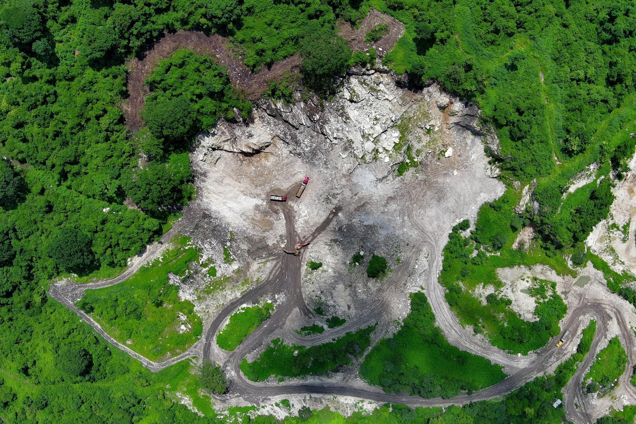Cerro Blanco, la "isla" verde de Guayaquil acechada por la deforestación