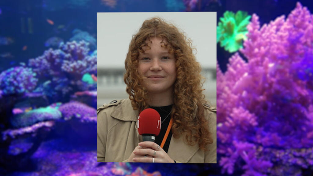 Alice, 21 years old: 'Seeing dead corals is devastating' - RFI