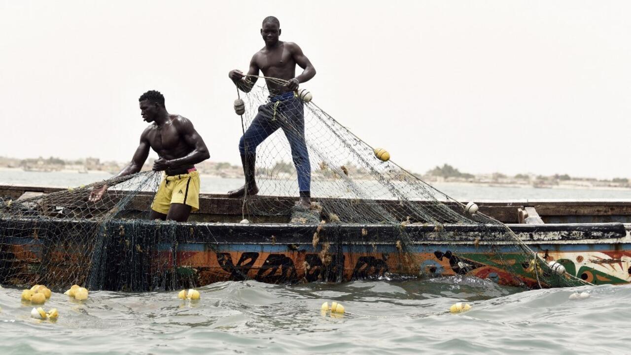 Fishermen left stranded as Senegal's most sought-after catch moves north