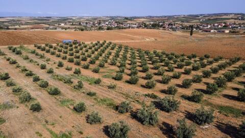 Élections législatives en Moldavie: un scrutin sur fond de soupçons d ...