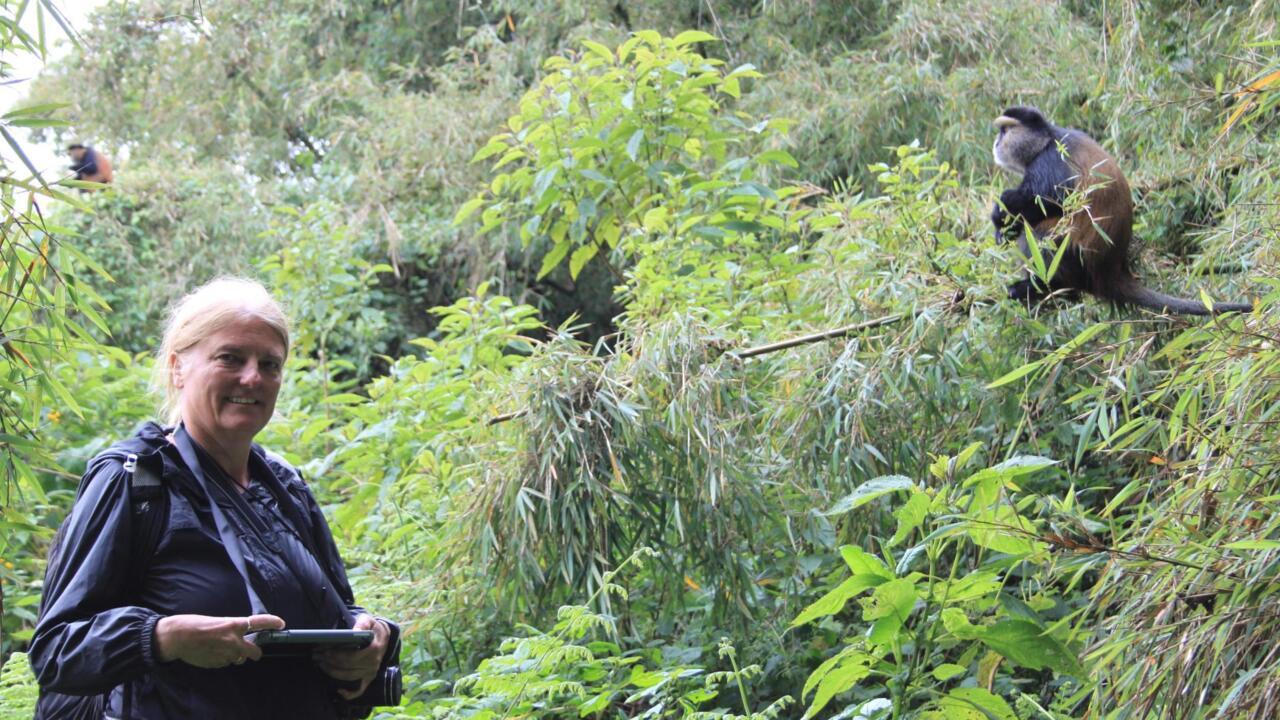 Saving golden monkeys through face recognition