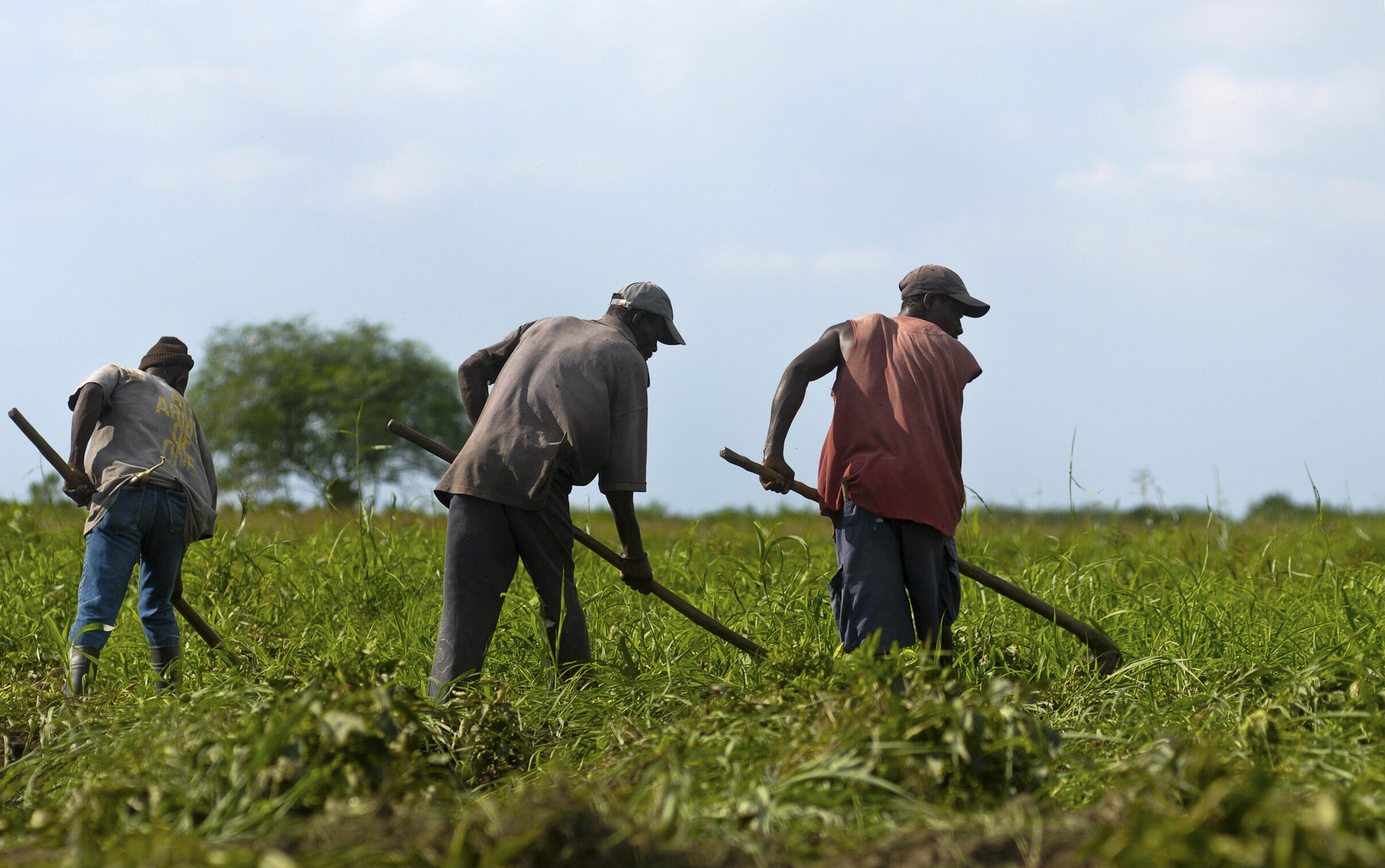 L'exode rural s'accélère en Haïti - Journal d'Haïti et des Amériques