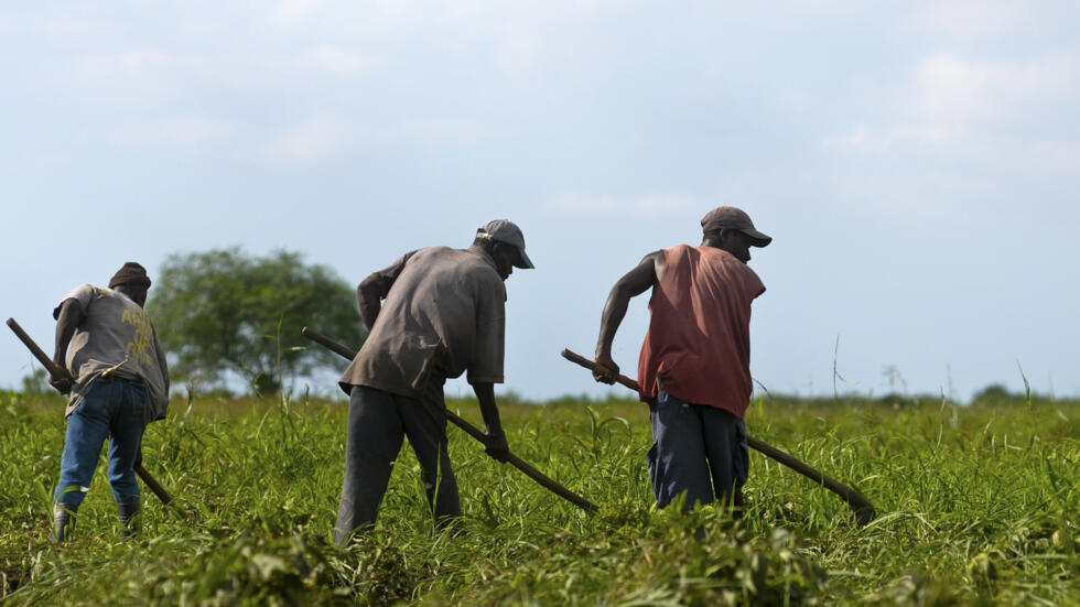 L'exode rural s'accélère en Haïti - Journal d'Haïti et des Amériques