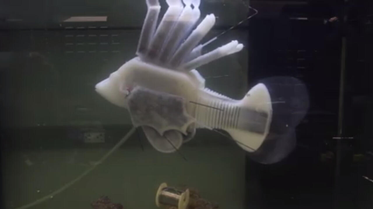 Sang artificiel pour robot-poisson - Un monde de tech