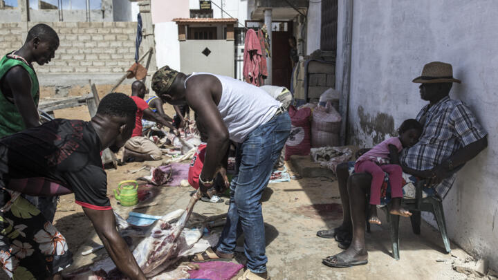 Sénégal: la Tabaski célébrée ce lundi sur fond de climat apaisé et d ...