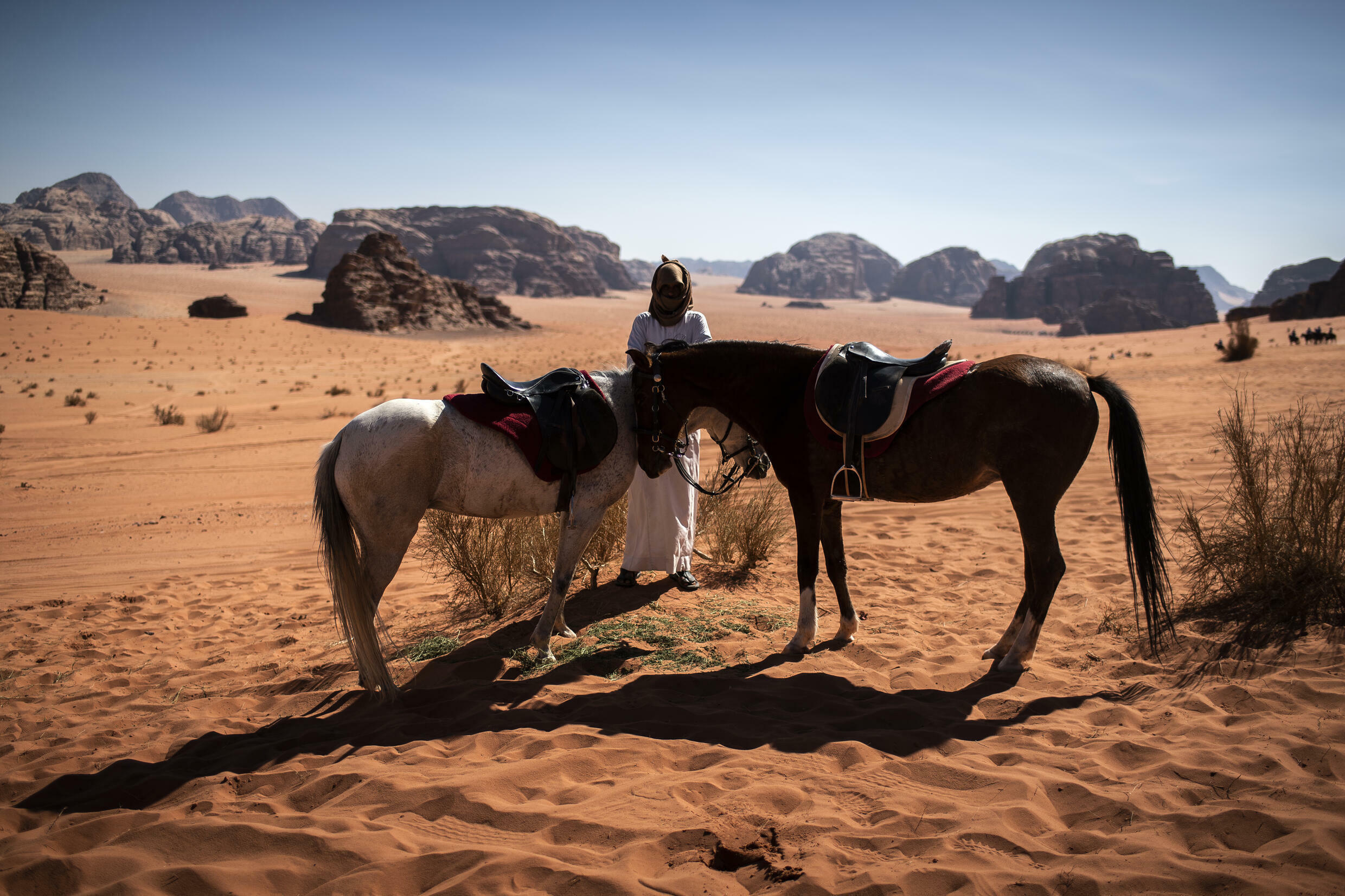 Jinetes de todo el mundo recorren a caballo los tesoros de Jordania