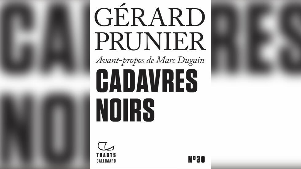 Gérard Prunier, spécialiste de l'Afrique, auteur de «Cadavres noirs ...