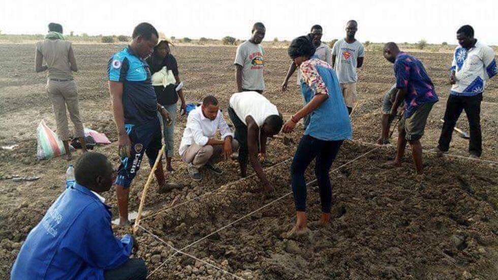 Holko woni battane ɗii poroduwiiji alkimiyaaji e dow cellal e taariindi ...