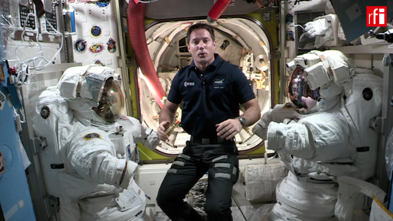 Slime mold "blobs" blast off to ISS for microgravity experiments