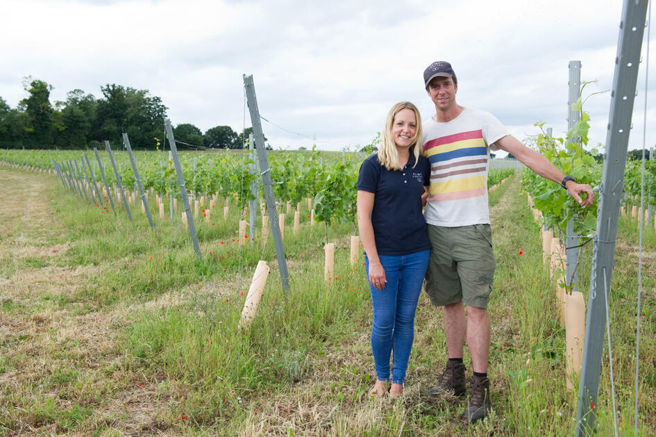 Les nouveaux vins «made in UK» - Accents d'Europe