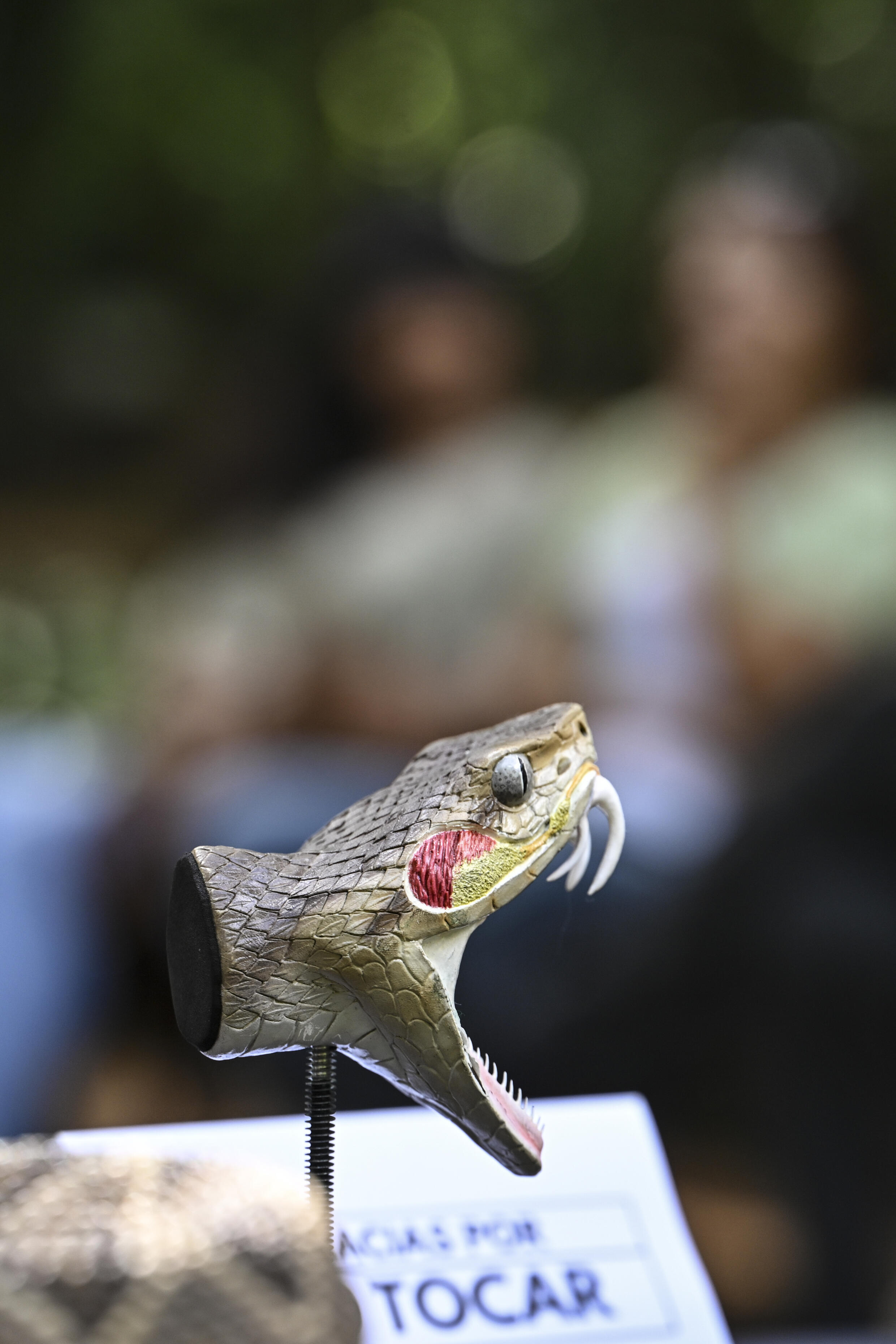 Antivenom shortages, ignorance plague snakebite victims in Venezuela