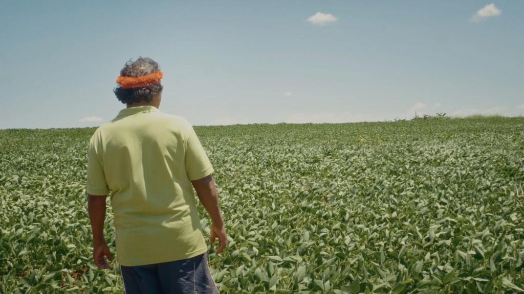 Rencontres Cinélatino: «De la guerre froide à la guerre verte», Anna ...