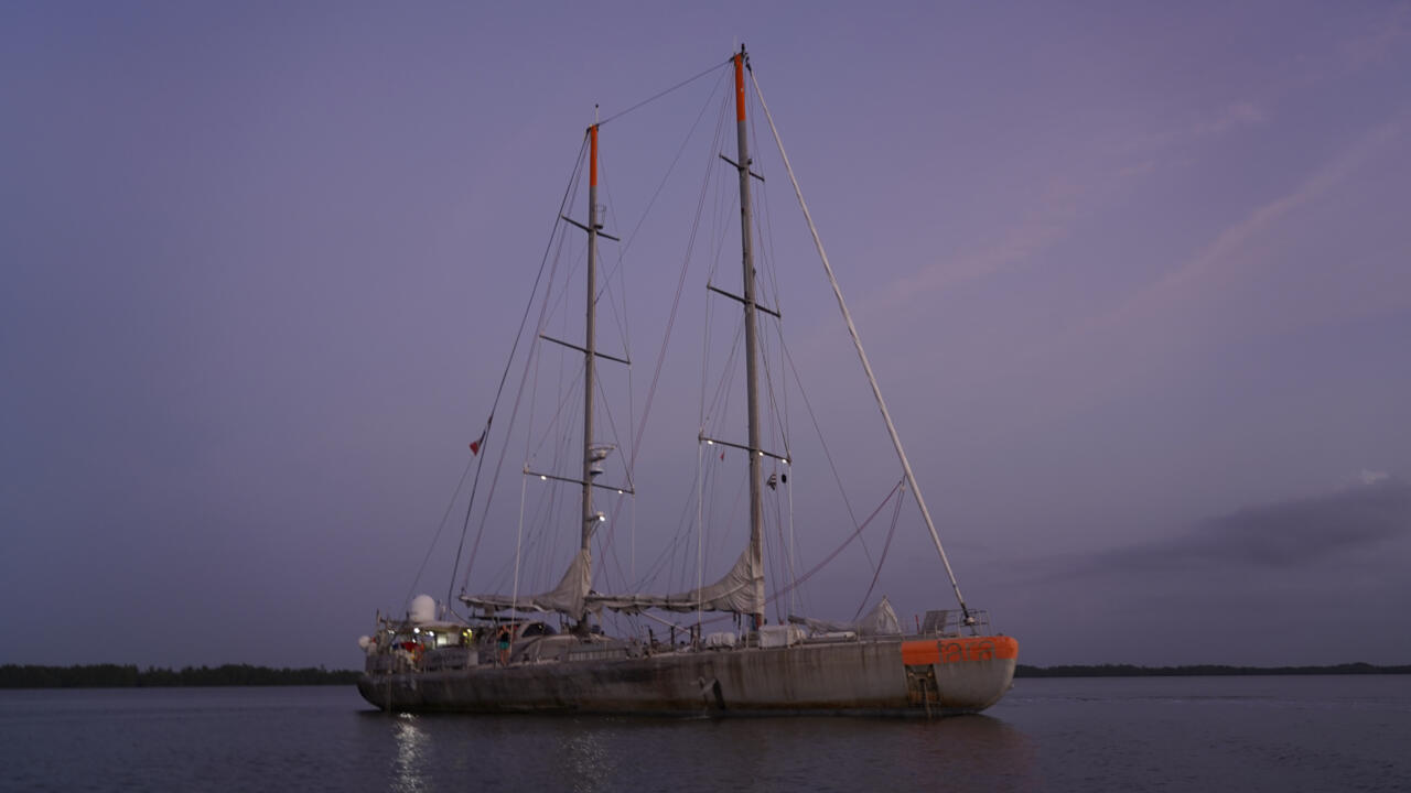 Tara Océan analyzes the micro-plastics of the Gambia River – Archyde