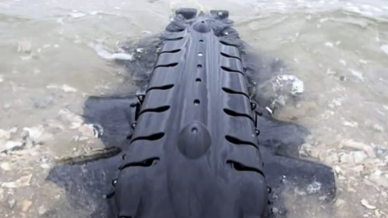 Velox, robot patineur - Un monde de tech