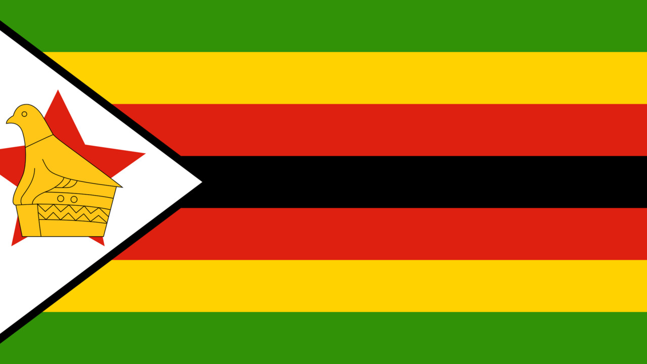 Albert Gumbo (activiste de «This Flag») : «Les Zimbabwéens en ont assez ...
