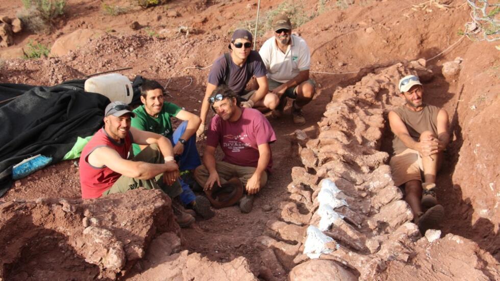 'Este dinosaurio sería más grande que los más grandes', dice ...