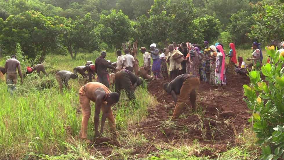 Bi laseli bɛ kuma Kabada Fadou ka malosɛnɛlaw ka gɛlɛyaw de kan ...