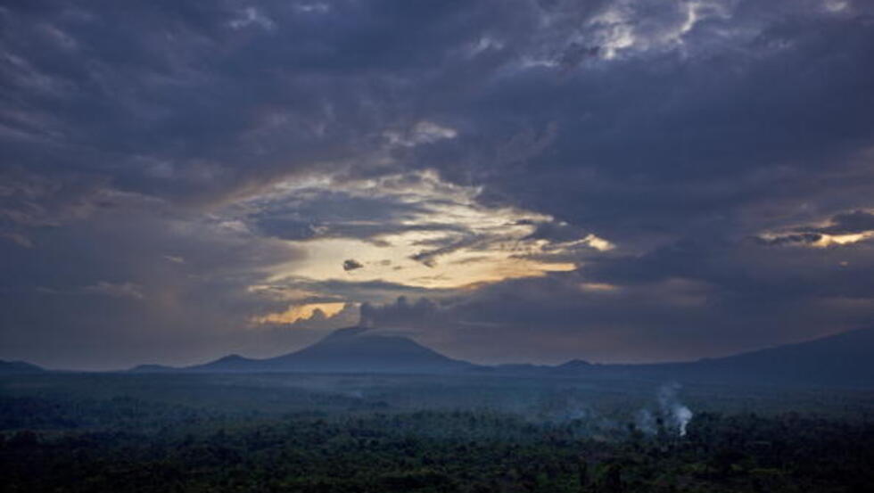 Exploitation du pétrole dans le parc de Virunga: une option «pas ...