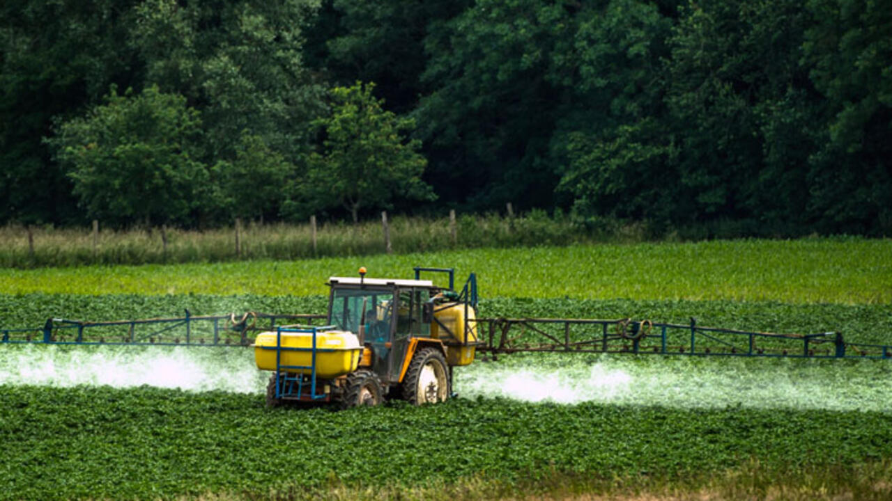 Pesticide dicamba aux États-Unis: grosse amende pour Bayer et BASF - RFI