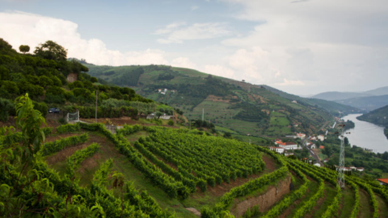 Le Portugal veut relancer l'agriculture - Reportage international