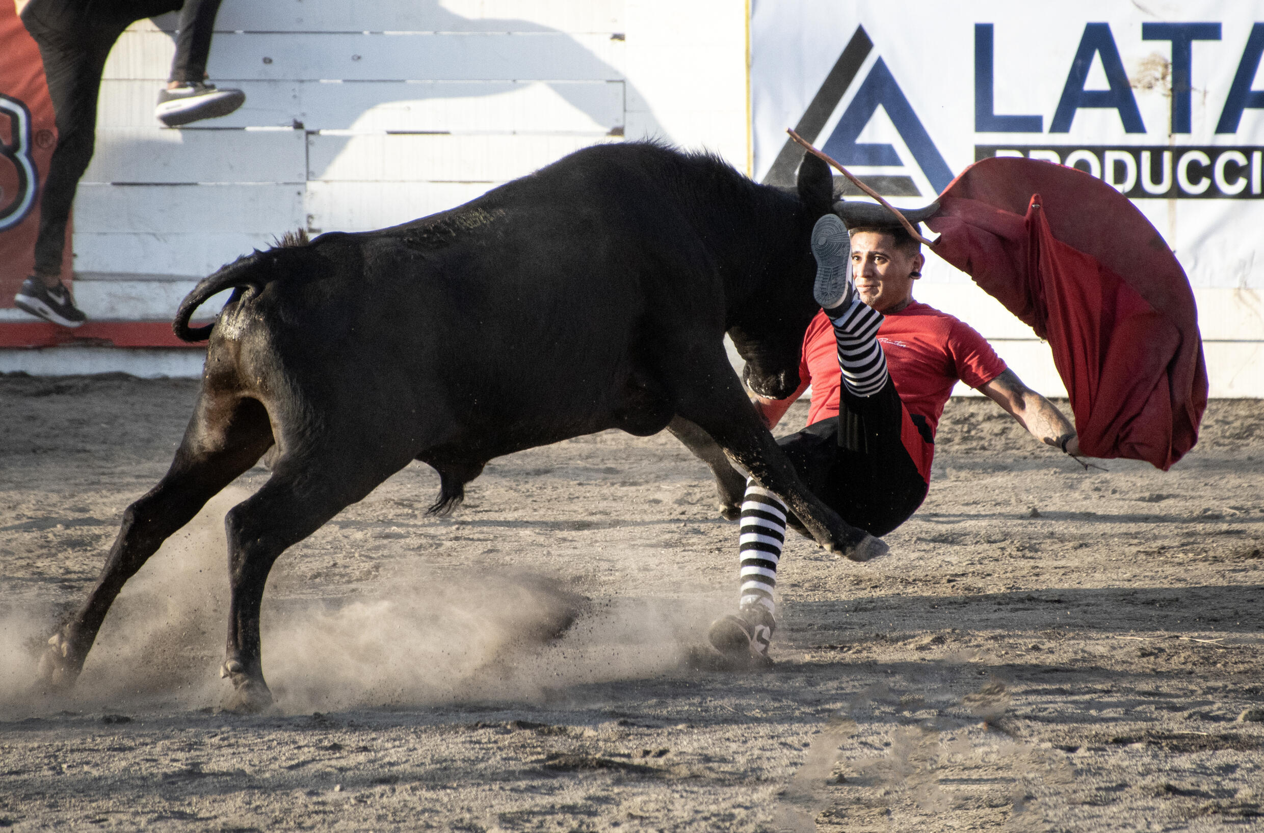 "Toros a la tica" o la tauromaquia al revés de Costa Rica