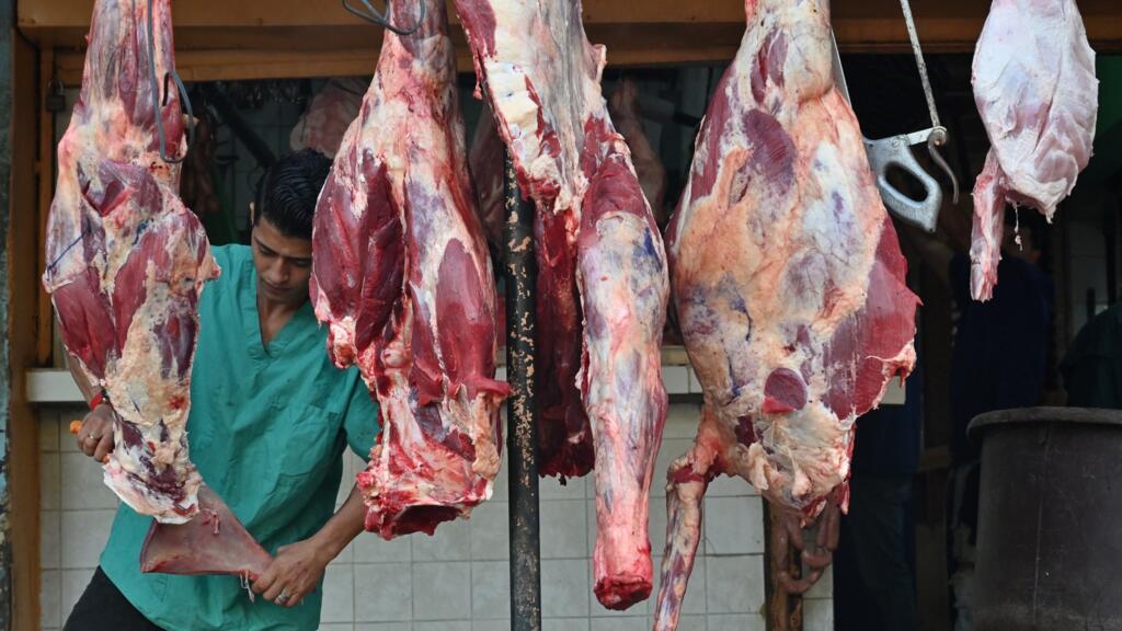 French health chiefs identify E coli as cause of major food poisoning ...