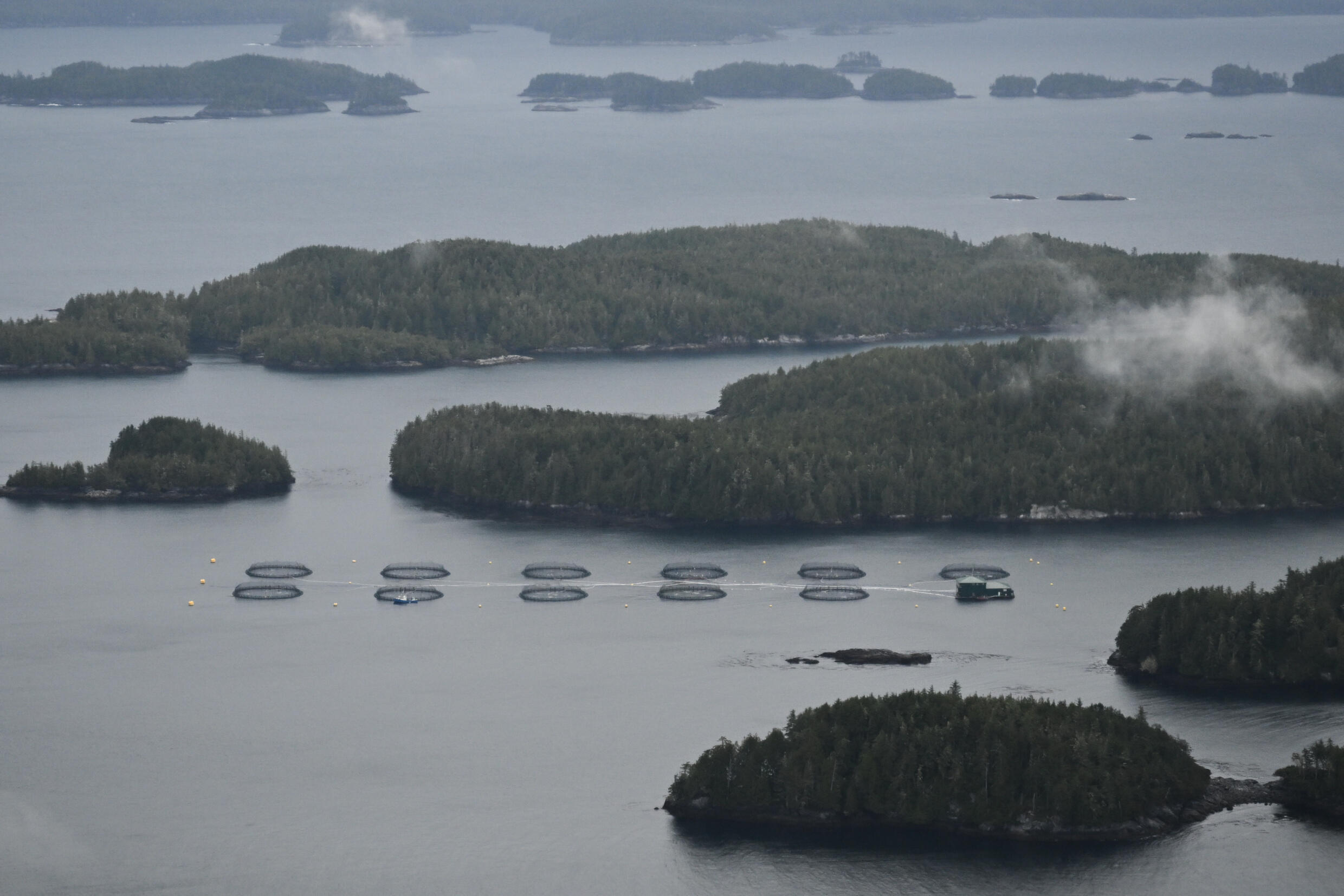 "Las Galápagos del Norte" en Canadá, modelo de protección de la ...
