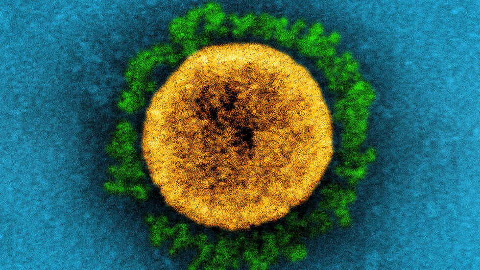 Covid-19: «BA.2» la nouvelle itération du variant Omicron qui gagne du ...